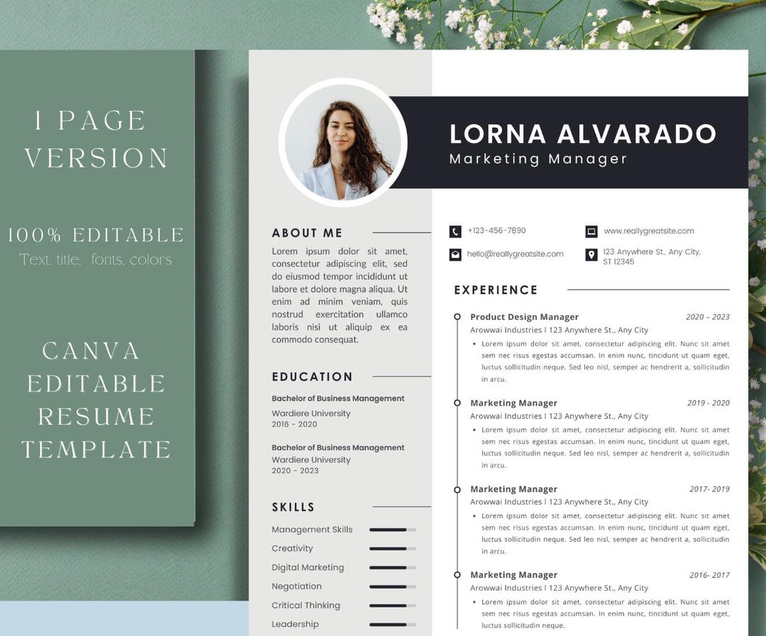 Modèle de CV moderne, CV professionnel, design épuré et minimaliste ...