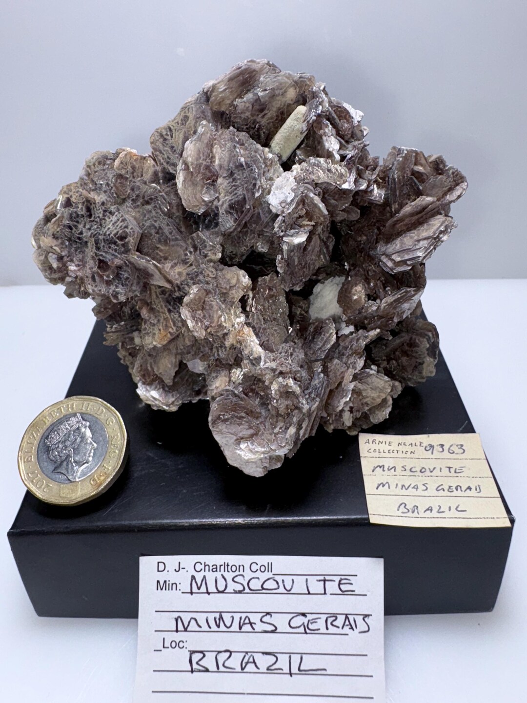 Muscovite With Inclusions Natural Mineral Crystal Specimen Minas Gerais ...