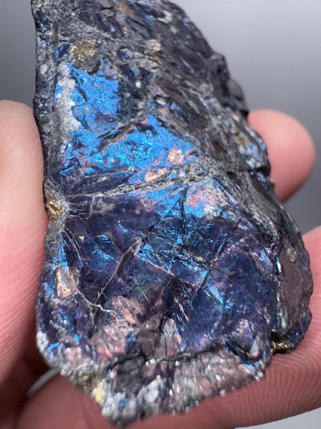 Covellite Natural Mineral Crystal Specimen Summitville Colorado USA - Etsy