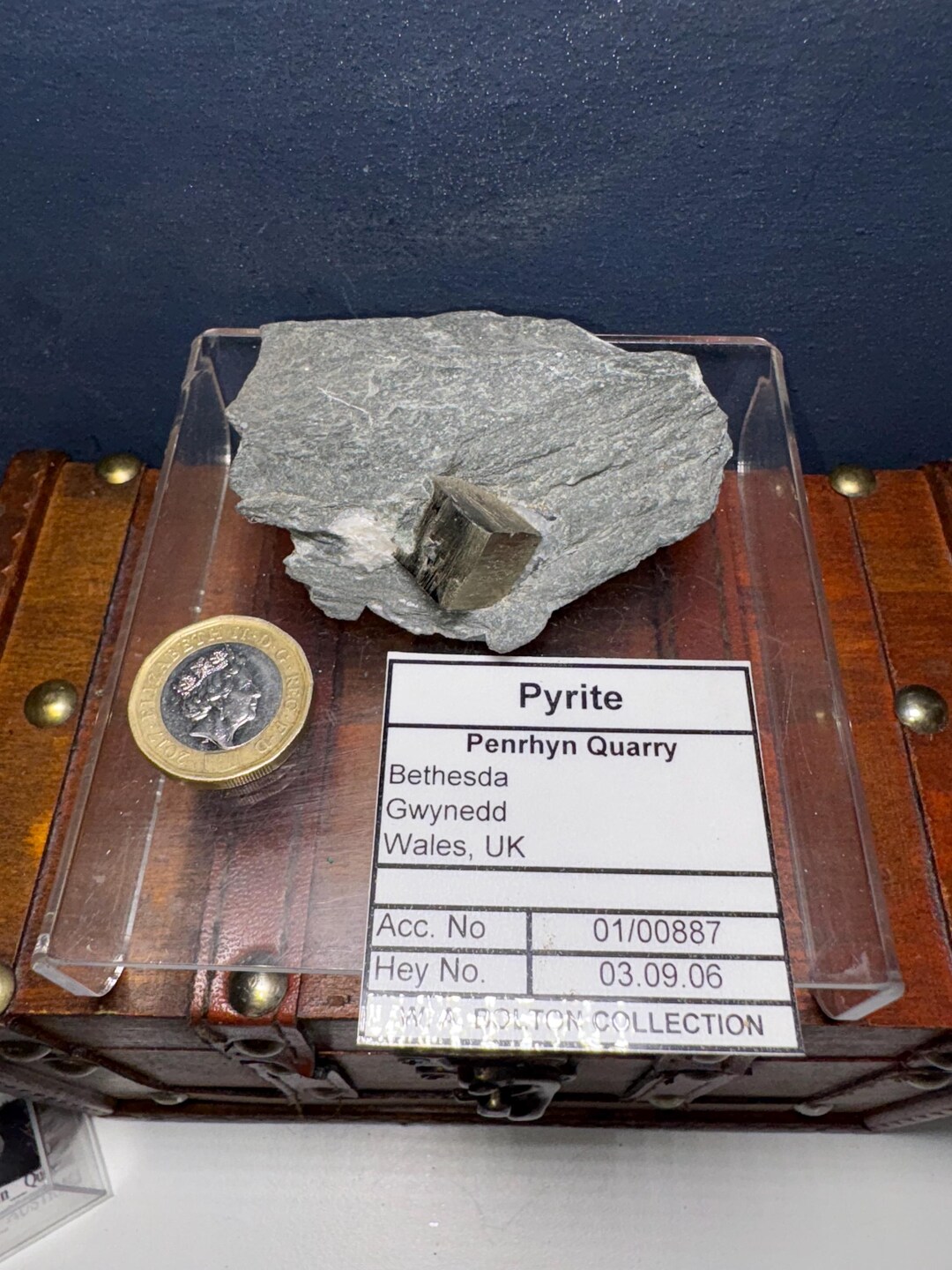 Pyrite on Matrix Penrhyn Quarry Bethesda Gwynedd Wales UK Natural ...