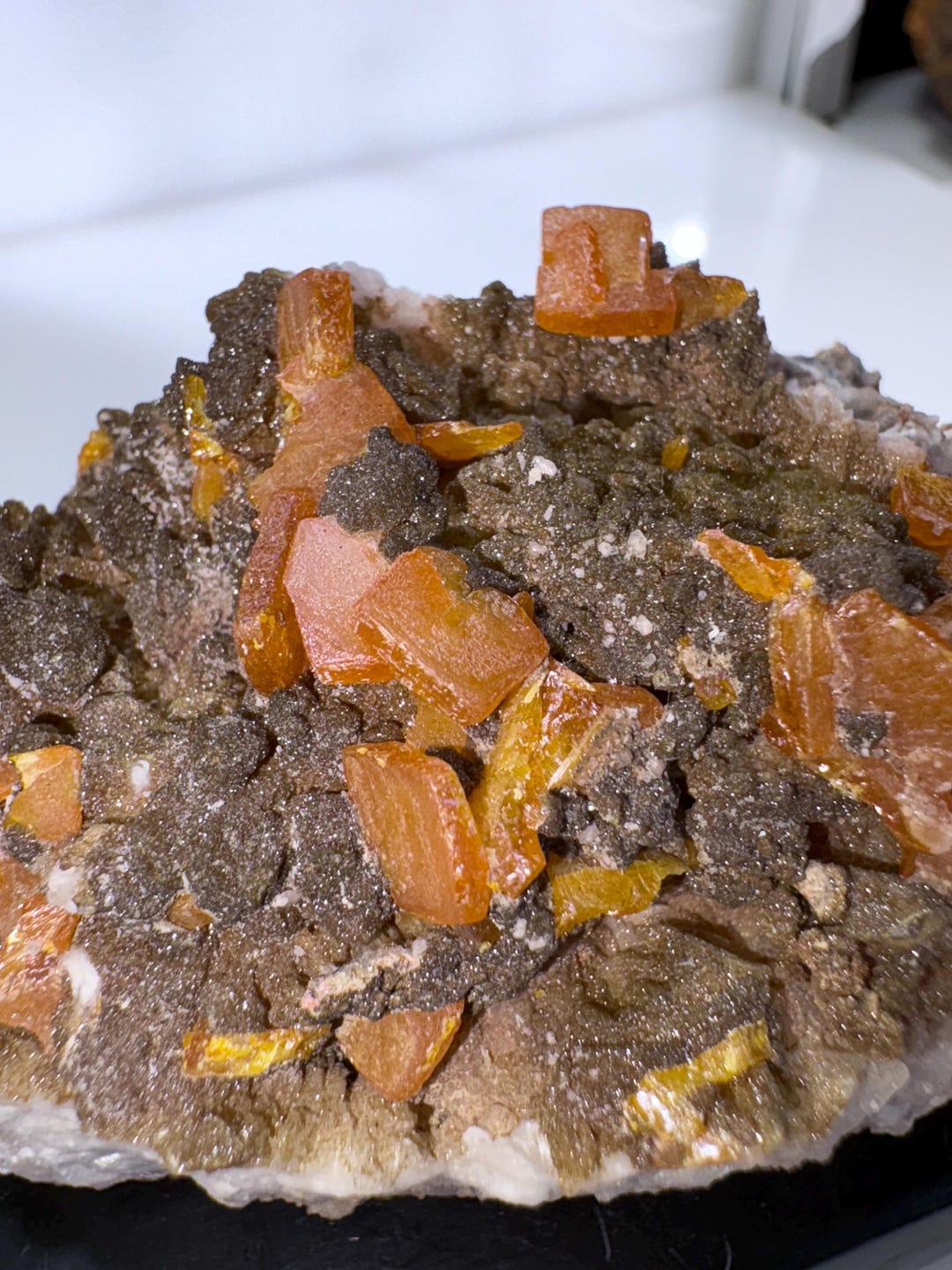 Wulfenite Natural Mineral Crystal Specimen Chihuahua Mexico - Etsy