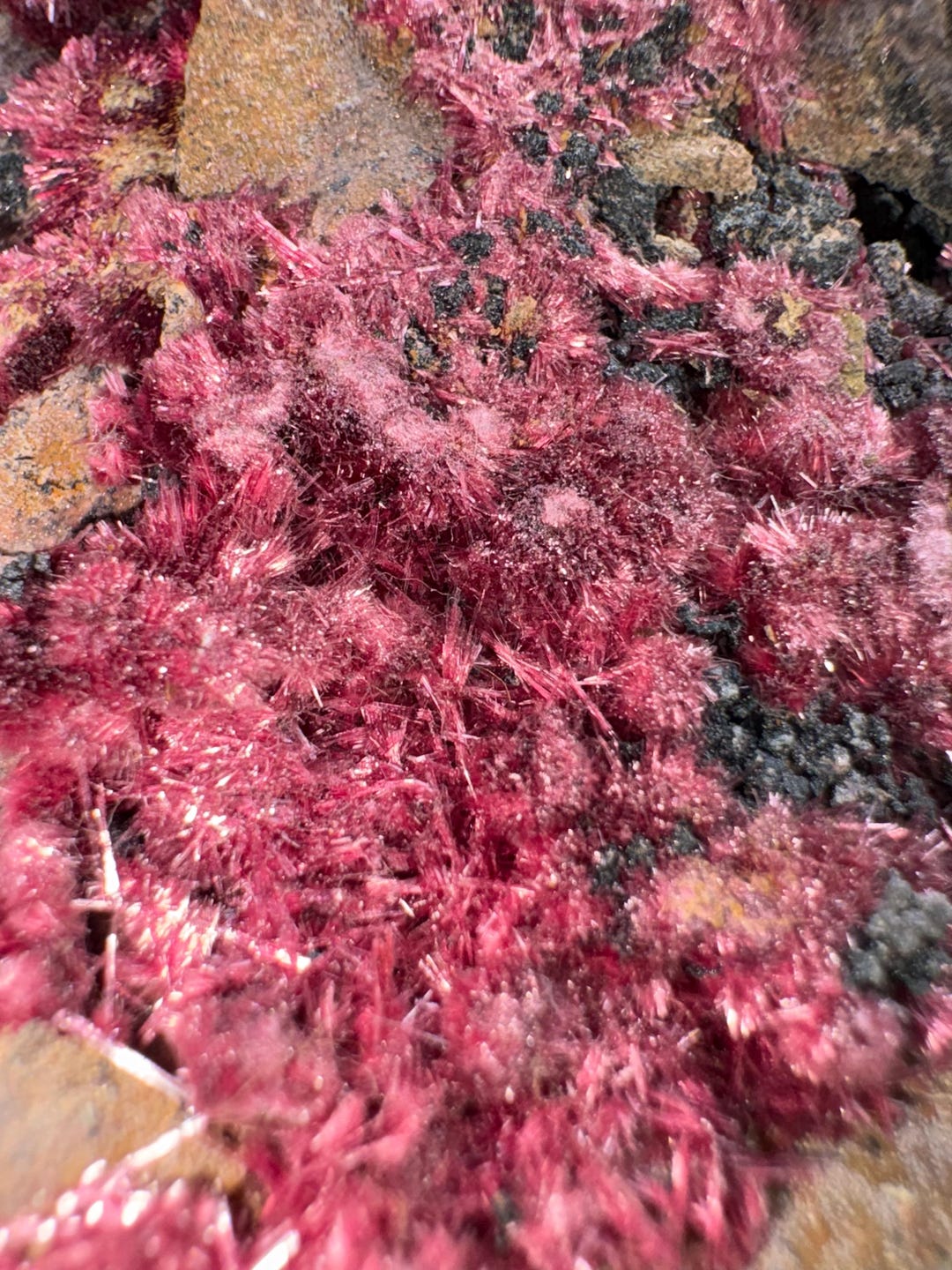 Stunning Erythrite Specimen Pink Fibrous Erytherite Coating Matrix MT ...
