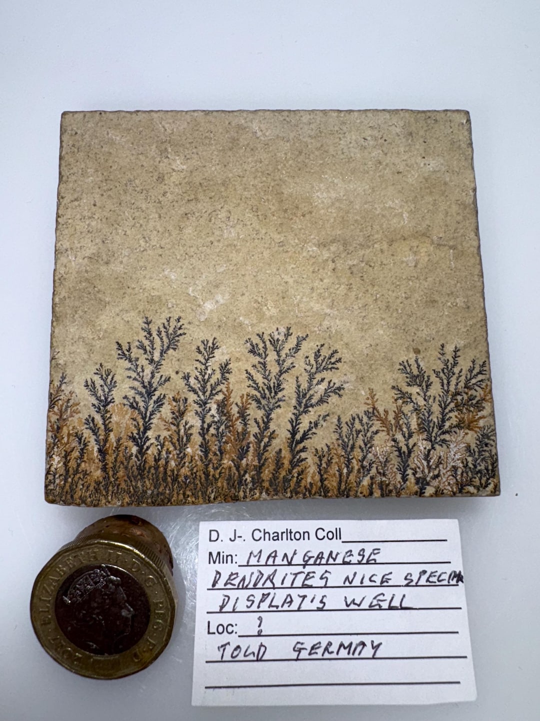 Manganese Dendrites Natural Mineral Specimen Told From Germany - Etsy