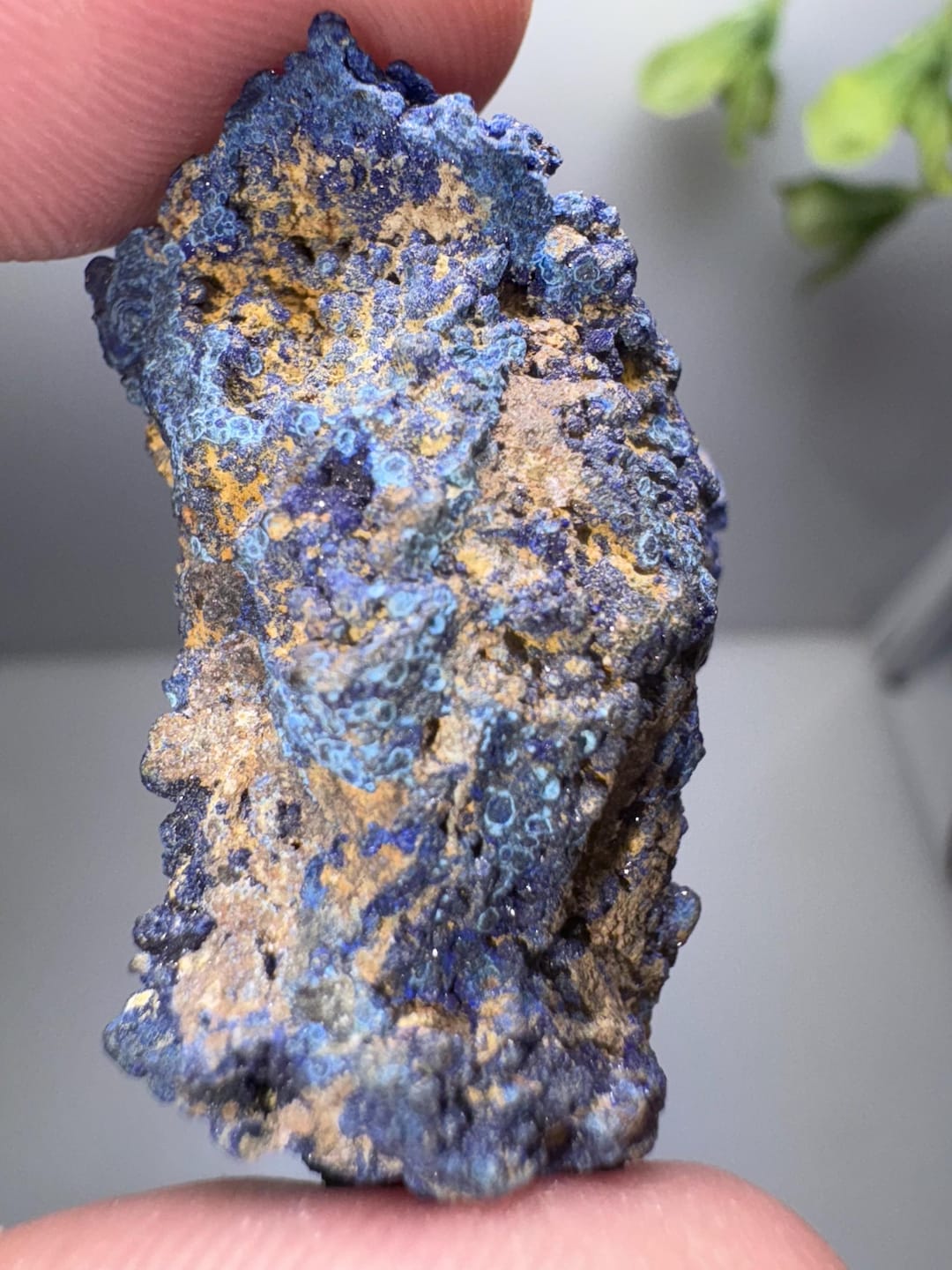 Azurite Natural Mineral Crystal Specimen Speculated Location Mexico USA ...