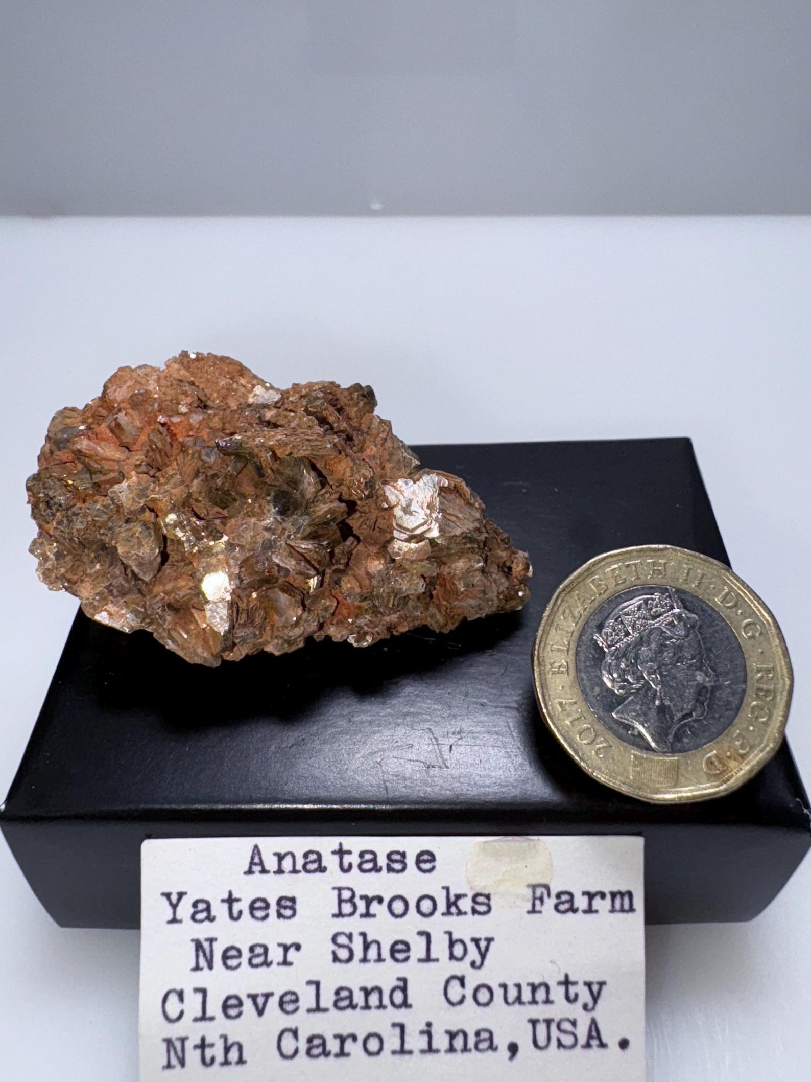 Anatase Natural Crystal Mineral Specimen Yates Brooks Farm Near Shelby ...