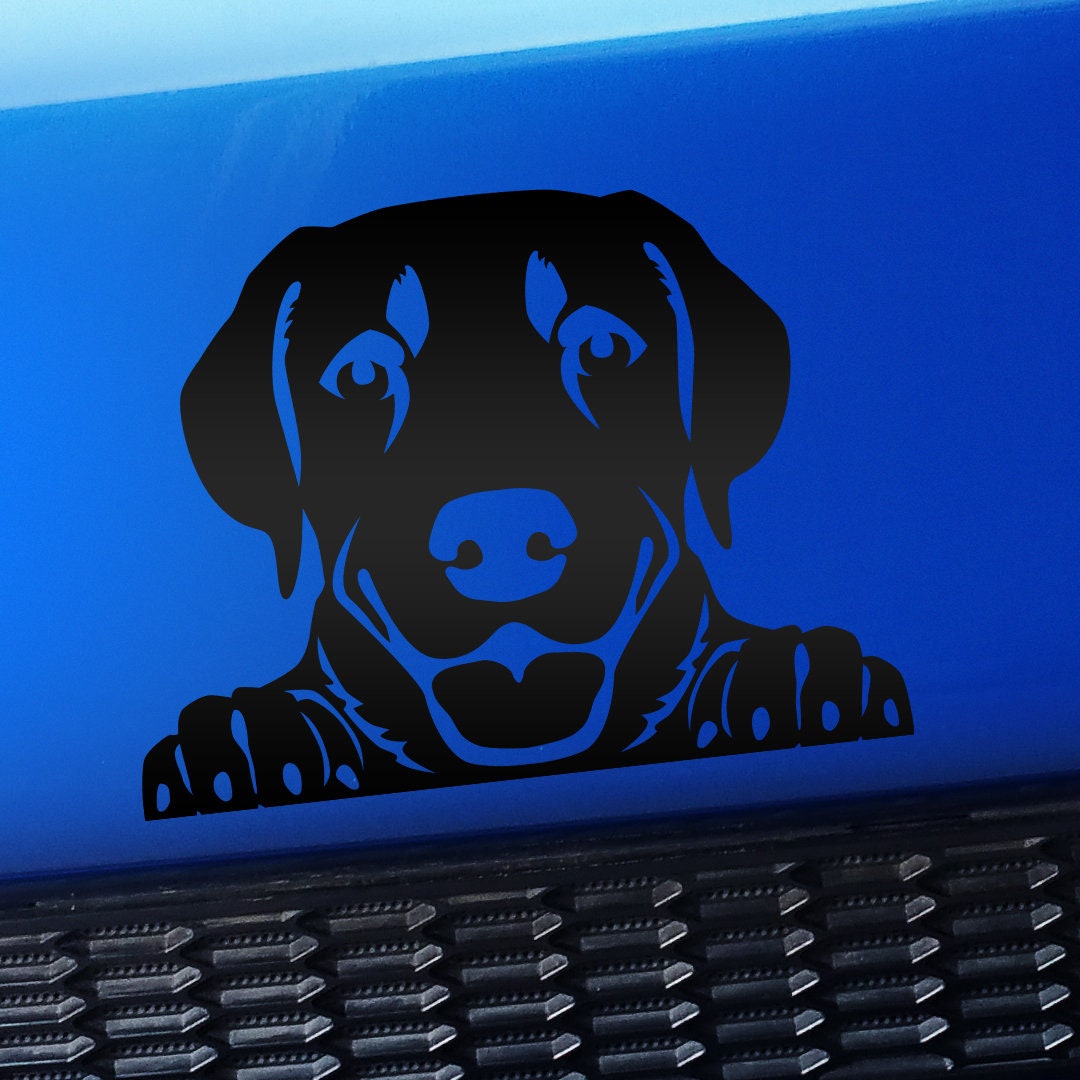 Peeking Lab Labrador Retriever Decal - Etsy