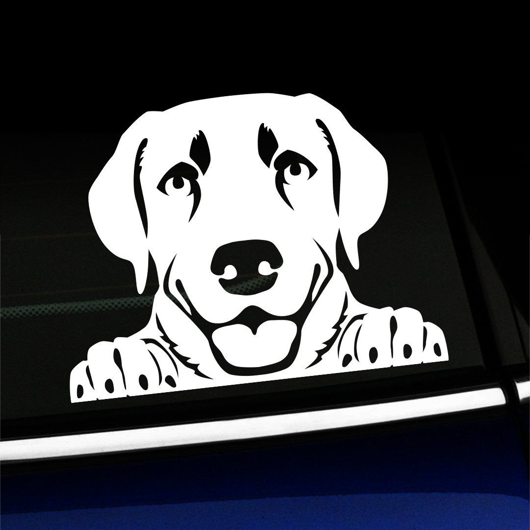 Peeking Lab Labrador Retriever Decal - Etsy