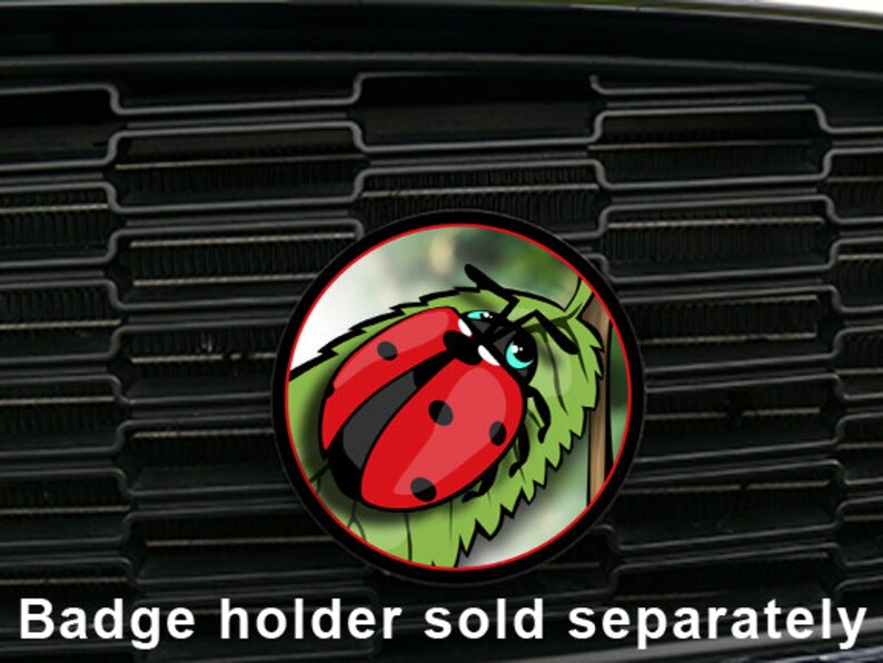 Ladybug - Magnetic Grill Badge for MINI Cooper - Etsy