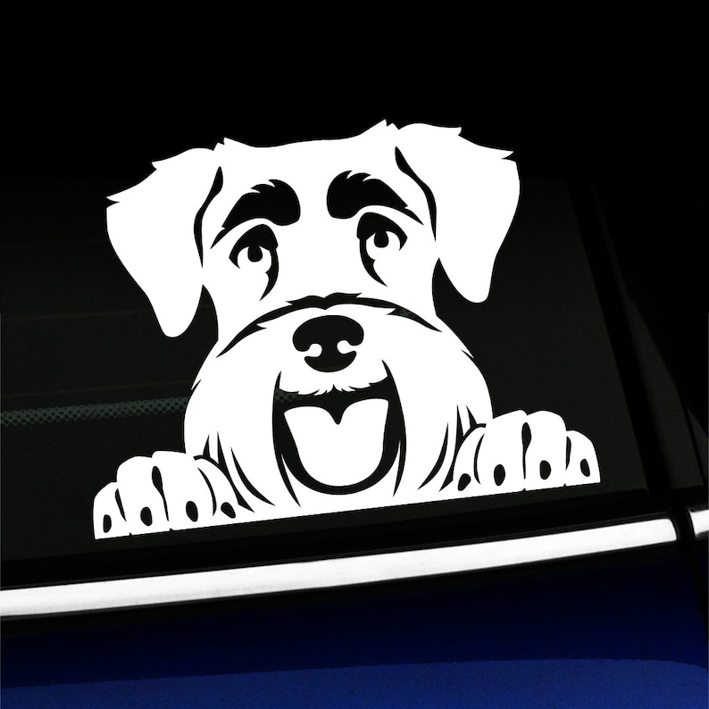Peeking Schnauzer Decal - Etsy