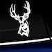 Mule Deer Buck Decal - Etsy