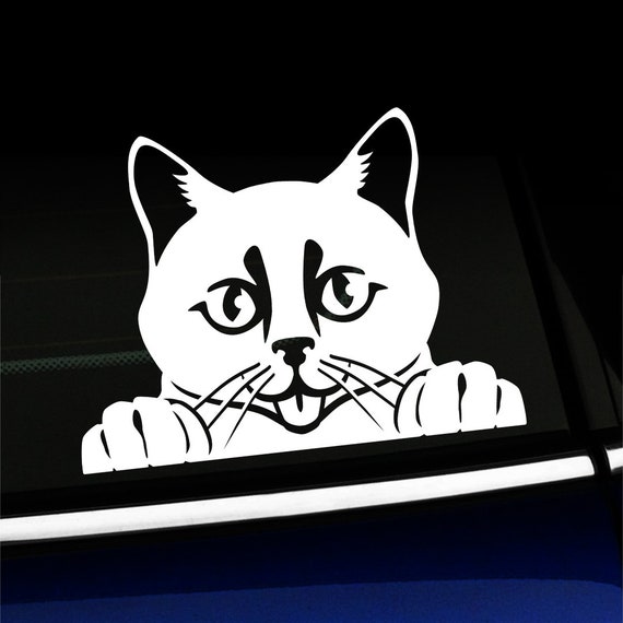 Peeking Cat Decal | Etsy