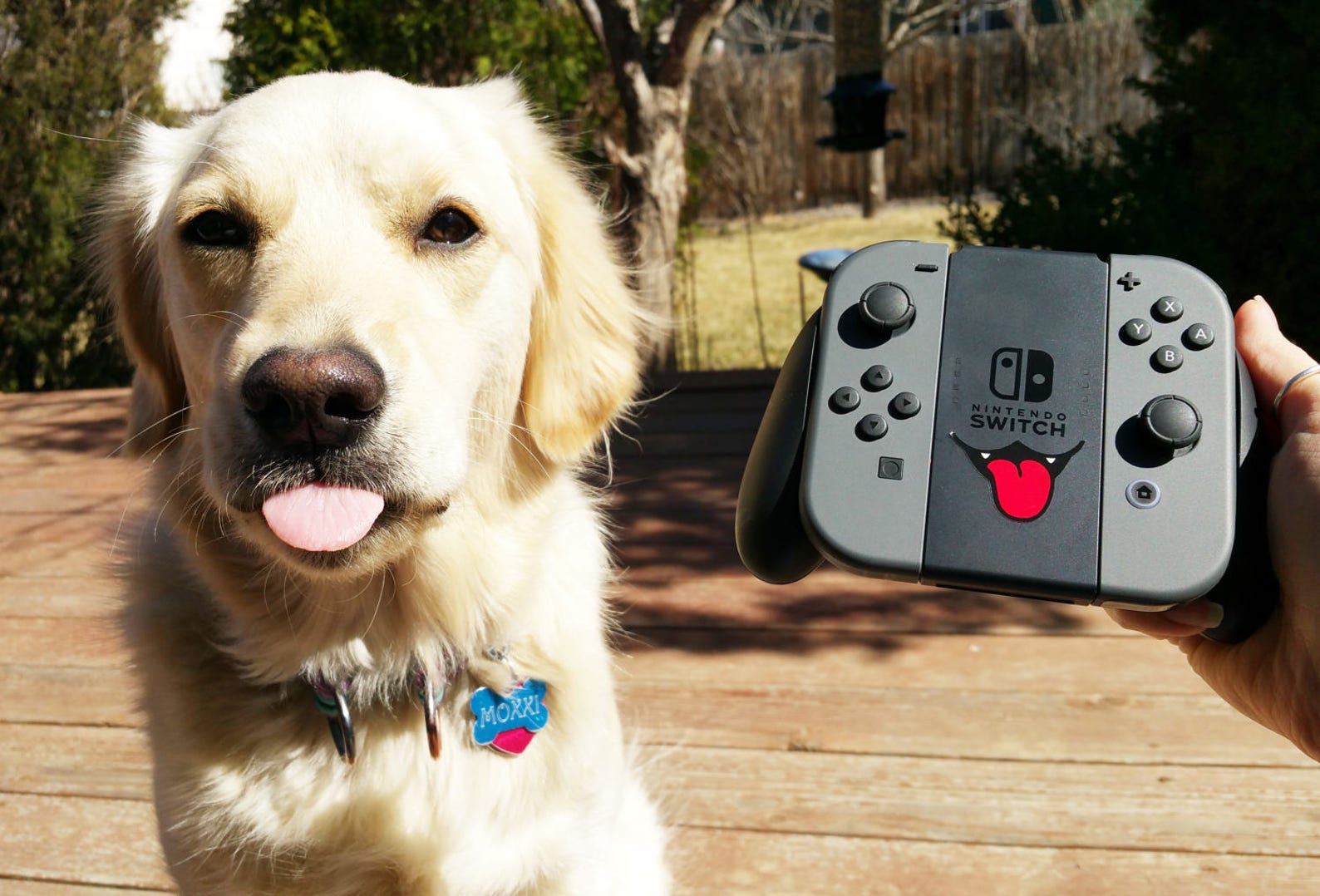 Puppy Mouth Sticker for Nintendo Switch Joy-con | Etsy