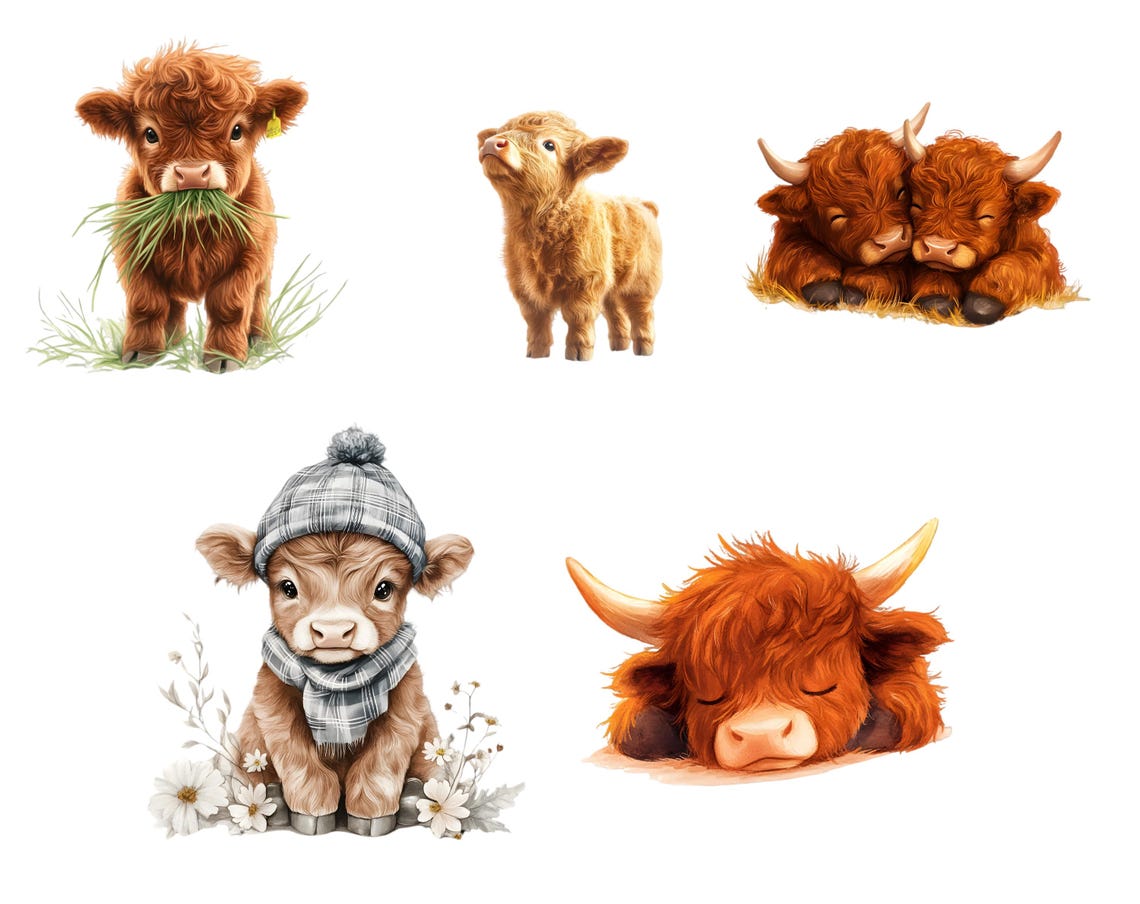Watercolor Baby Highland Cow Clipart Bundle, Nursery Decor (digital ...