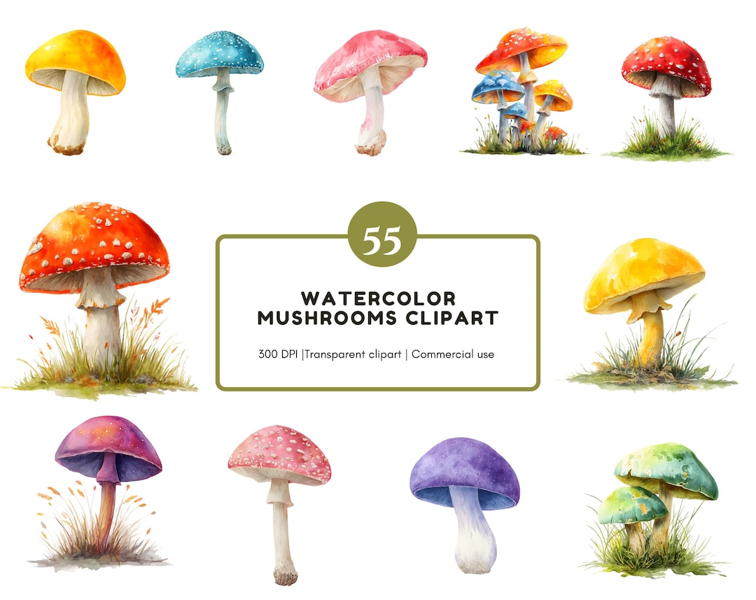 Mushroom Clipart Png Bundle, Woodland Mushroom Clipart Png, Mushrooms ...