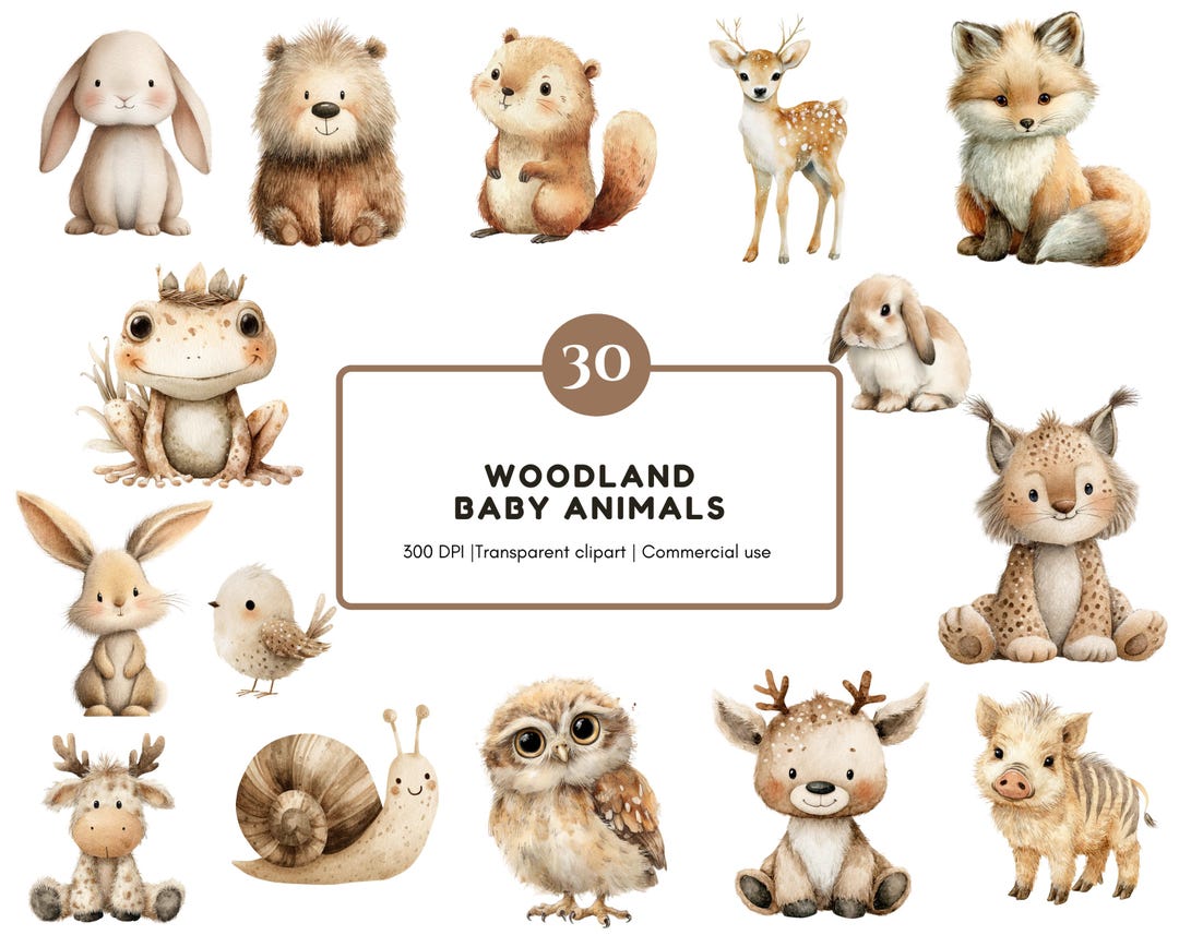 Woodland Animal Clipart Bundle, Watercolor Woodland Baby Animal Png ...