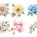 Watercolor Wedding Flower Clipart PNG Bundle (digital Download) - Etsy