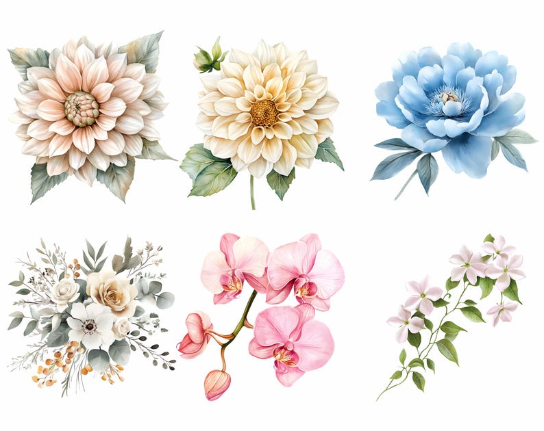 Watercolor Wedding Flower Clipart PNG Bundle (digital Download) - Etsy