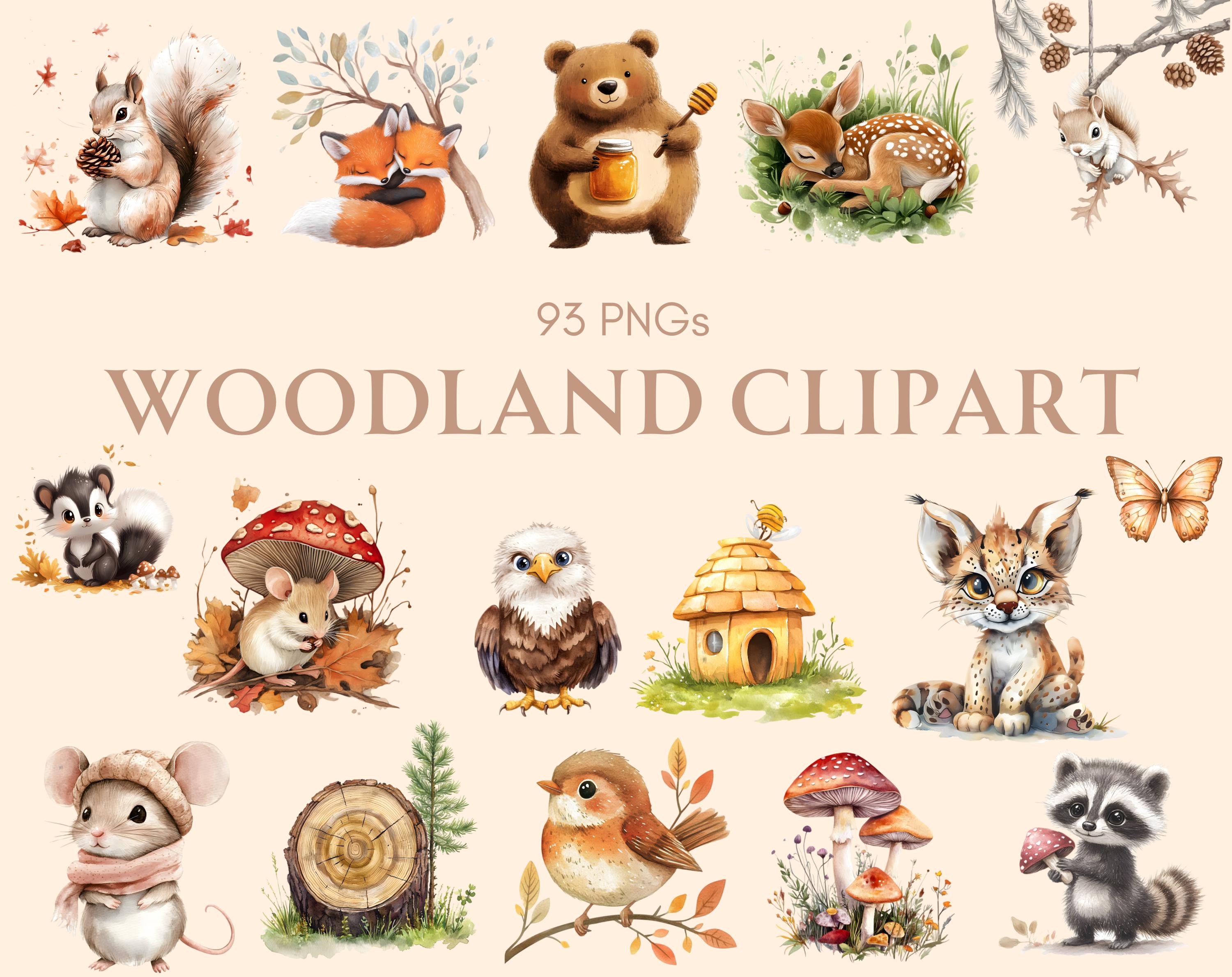 Watercolor Woodland Animal Clipart Bundle, Forest Nursery Decor (PNG ...