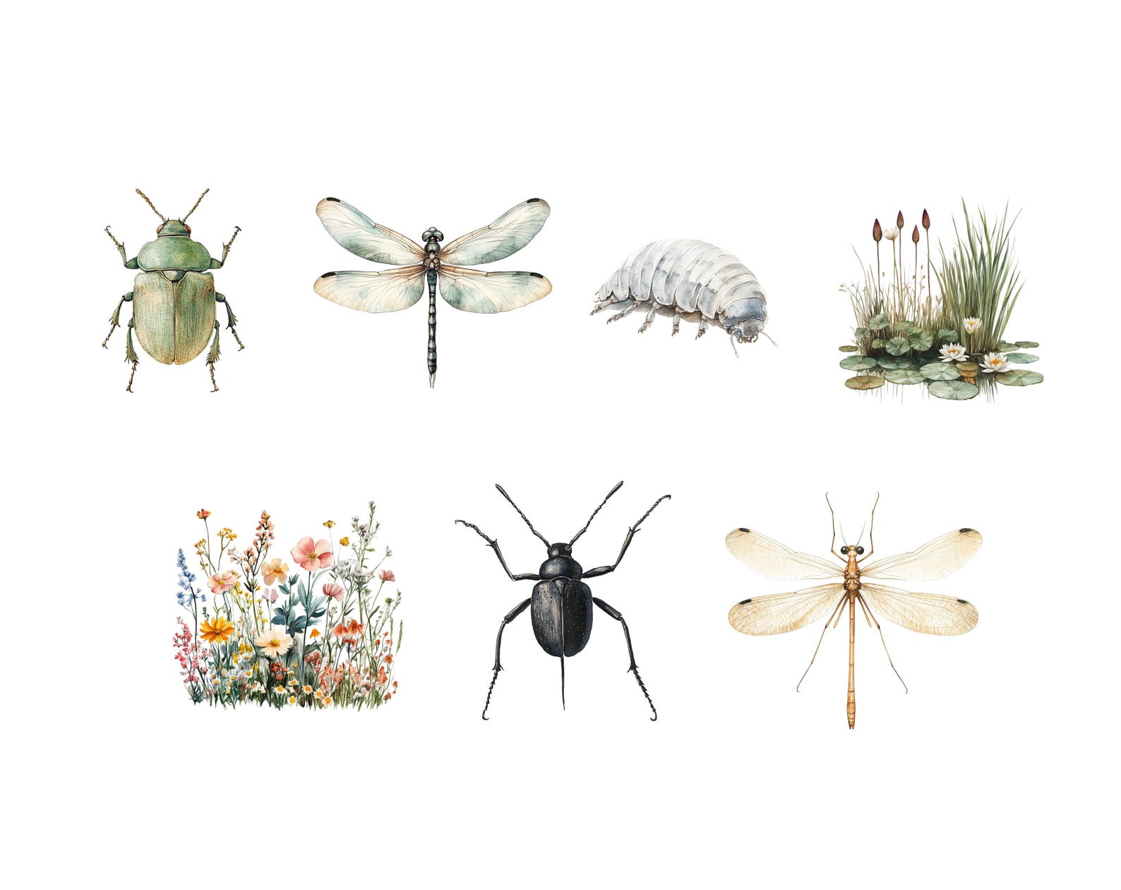 Bug and Insect Clipart Bundle, Insect Png, Watercolor Bug Clipart ...