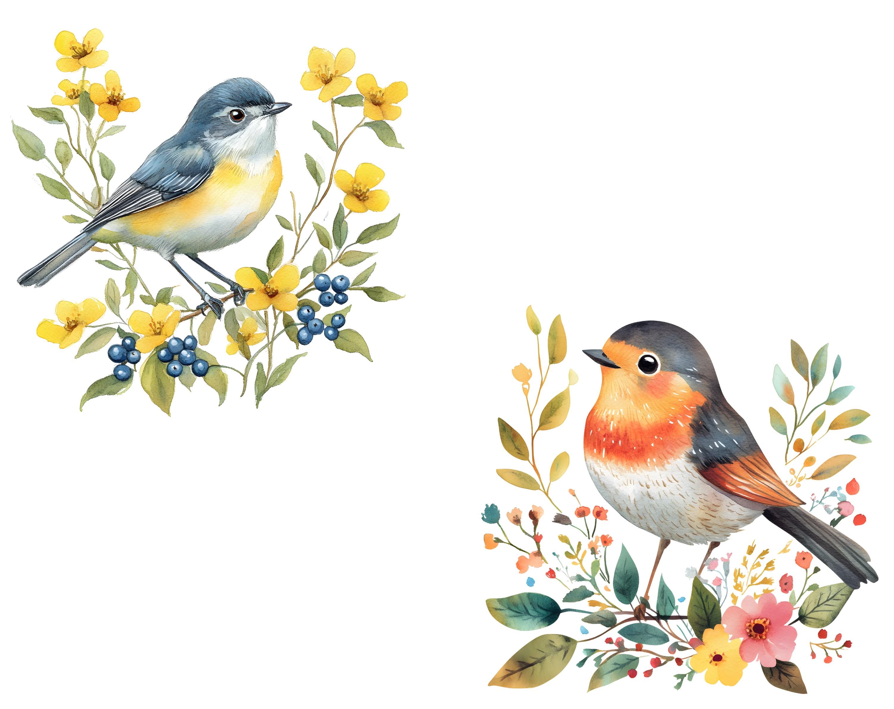 Scandinavian Birds Clipart Bundle, Watercolor Birds Clipart Png, Floral ...