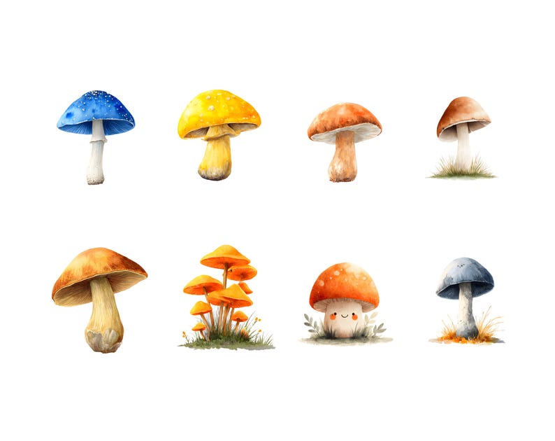 Mushroom Clipart Png Bundle, Woodland Mushroom Clipart Png, Mushrooms ...
