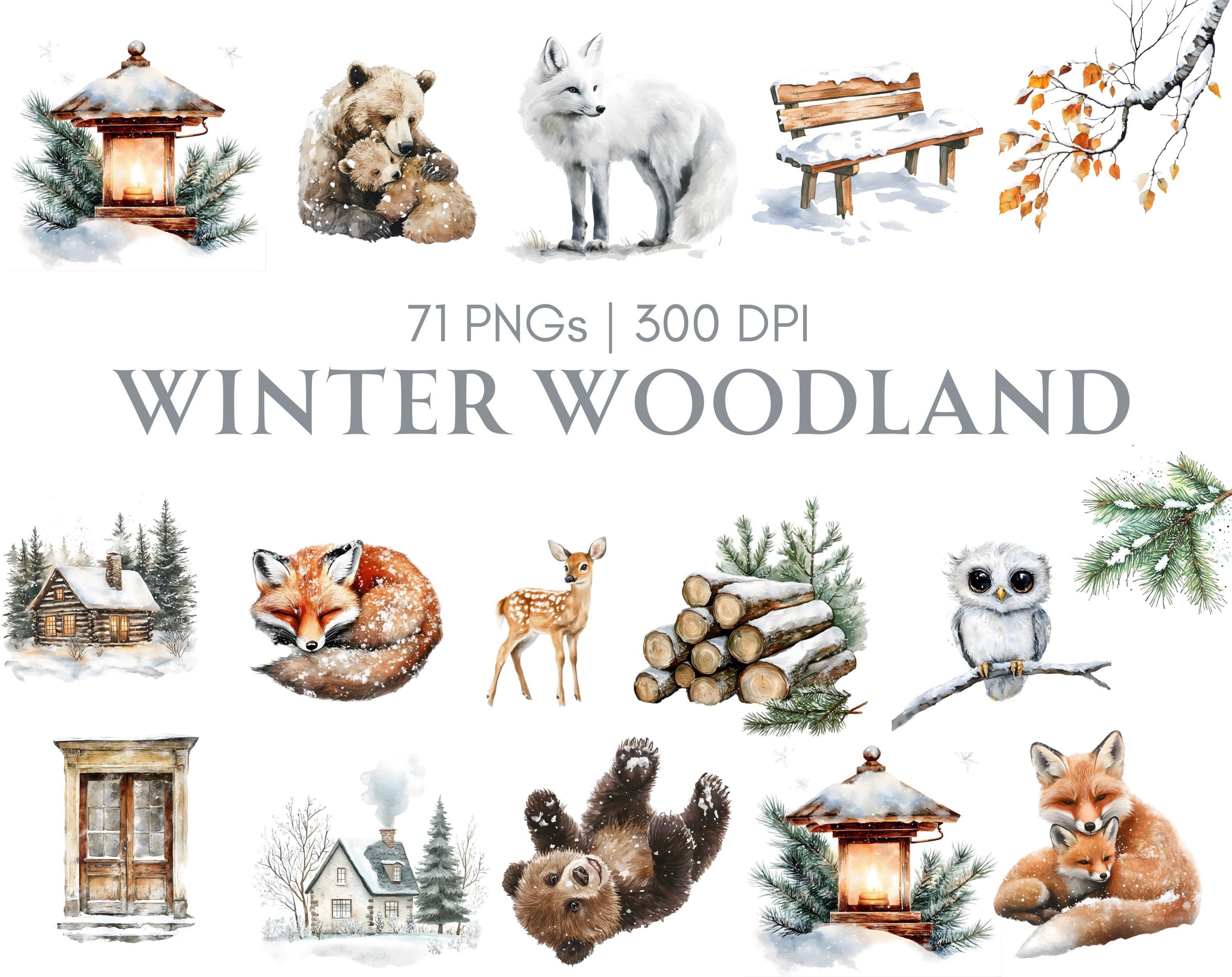 Winter Woodland Clipart Bundle, Watercolor Winter Woodland Clipart ...