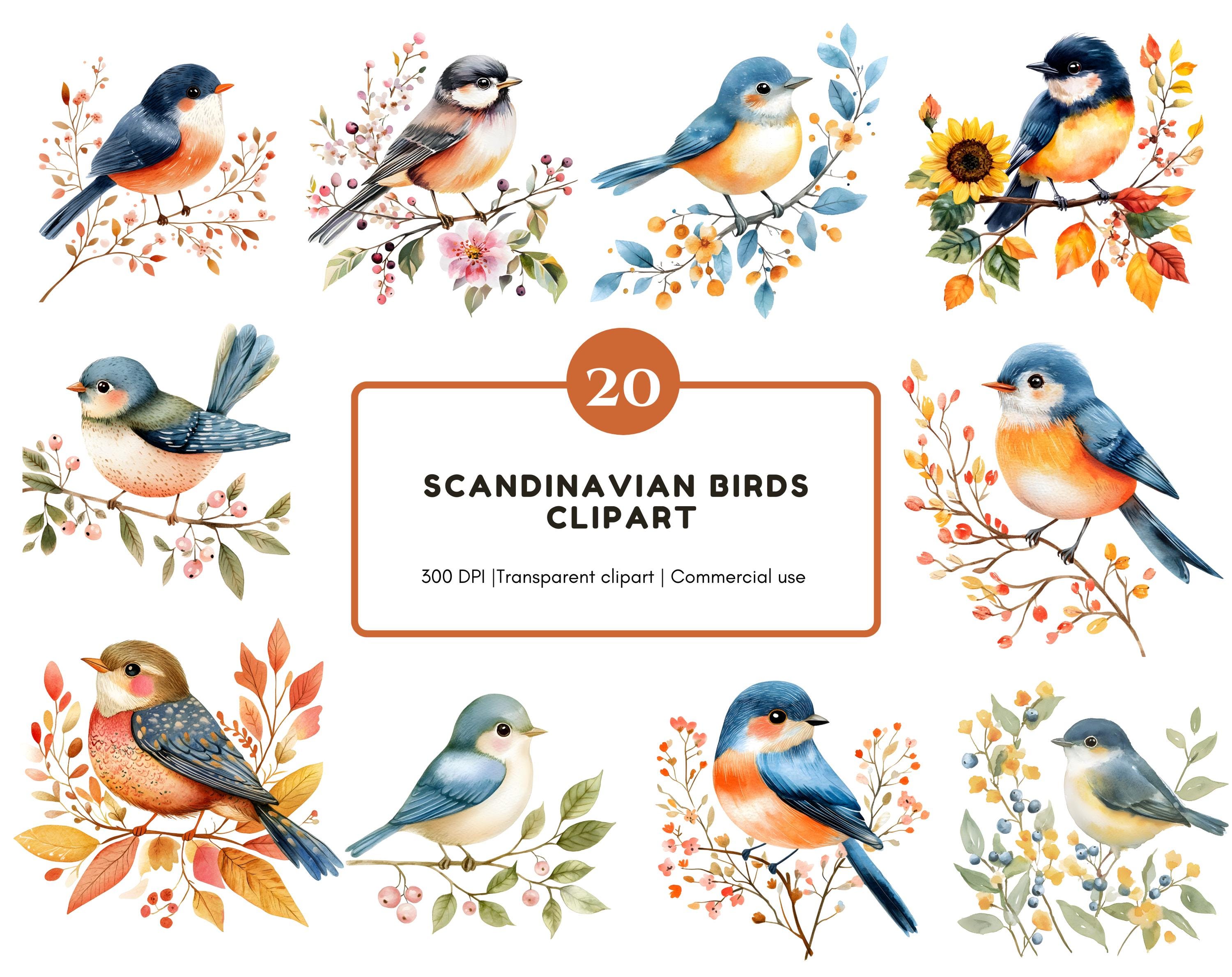 Scandinavian Birds Clipart Bundle, Watercolor Birds Clipart Png, Floral ...
