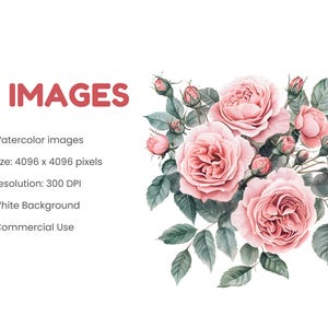 Pink Rose Clipart Png Bundle, Pink Bouquet Clipart, Pink Rose Bouquet ...