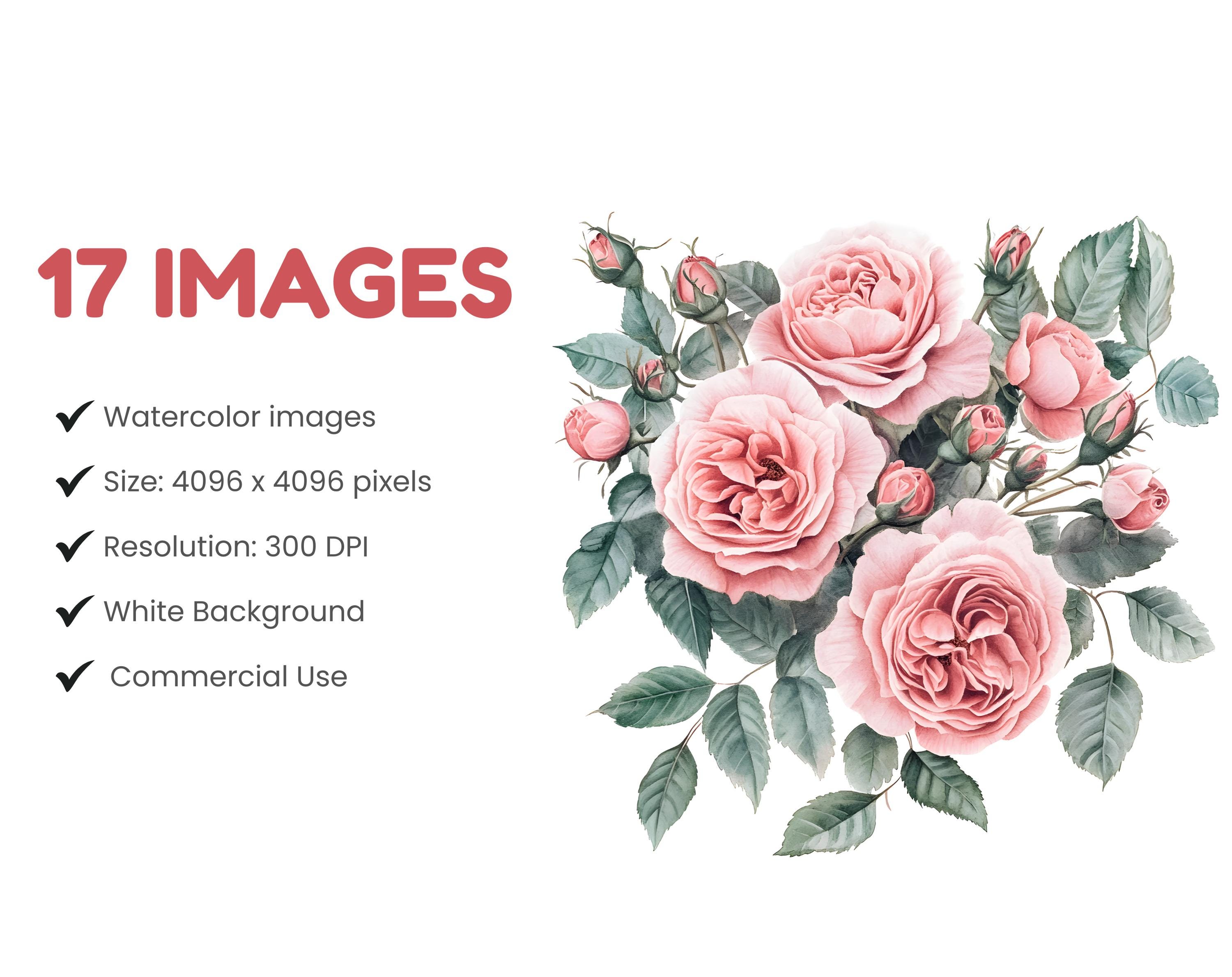 Pink Rose Clipart Png Bundle, Pink Bouquet Clipart, Pink Rose Bouquet ...