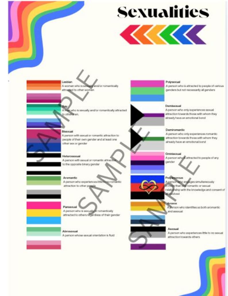 PRINTABLE LGBTQ+ Informative Posters: Pride Flags, Gender Identities ...