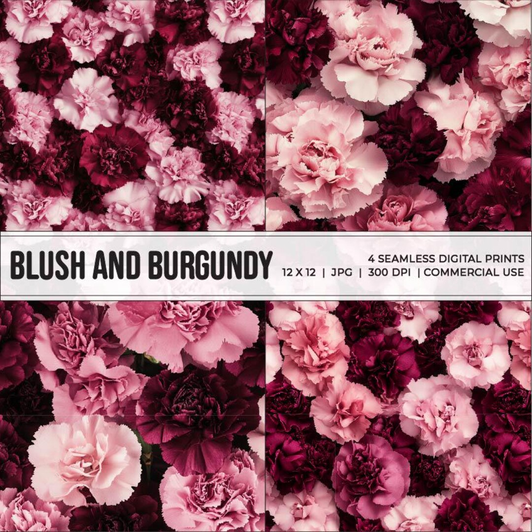 Blush and Burgundy Carnation Print | Romantic Floral Digital Art ...