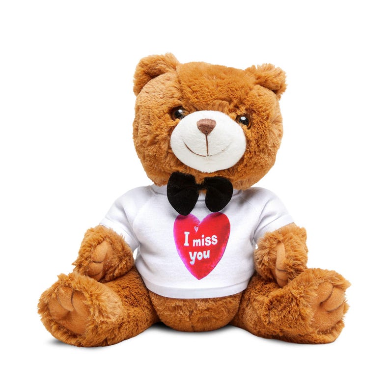 I Miss You Teddy Bear Plush, Comfort Gift, Cute Stuffed Animal, Long ...