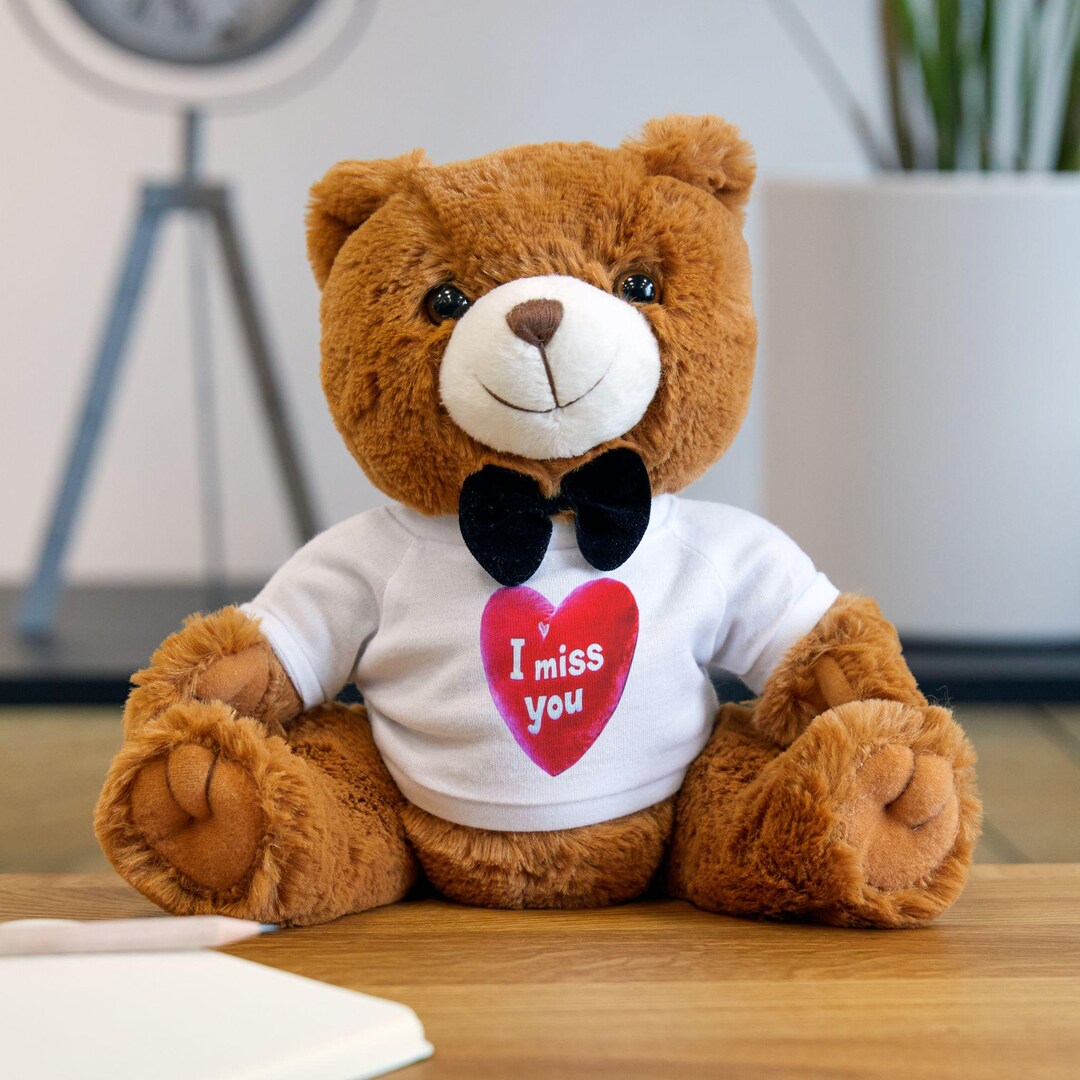 I Miss You Teddy Bear Plush, Comfort Gift, Cute Stuffed Animal, Long ...