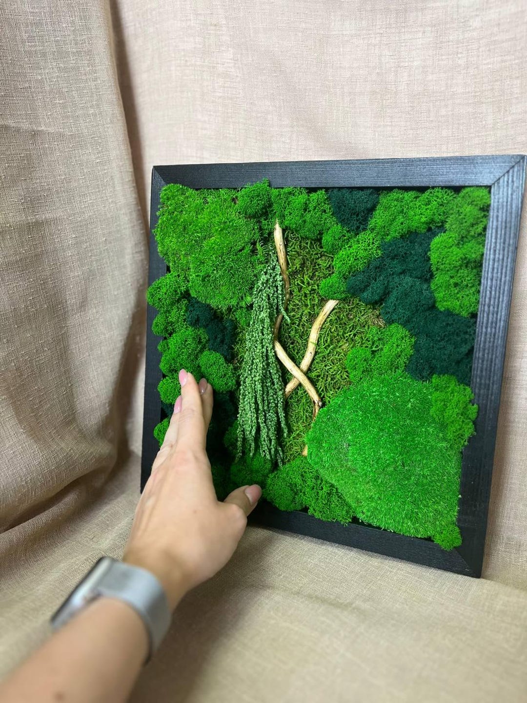 Modern Moss Wall Sculpture Set Round Preserved Moss Art Objects for ...