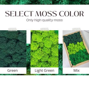 Handcrafted Moss and Wood Wall Art – Natural Green Home Decor ...