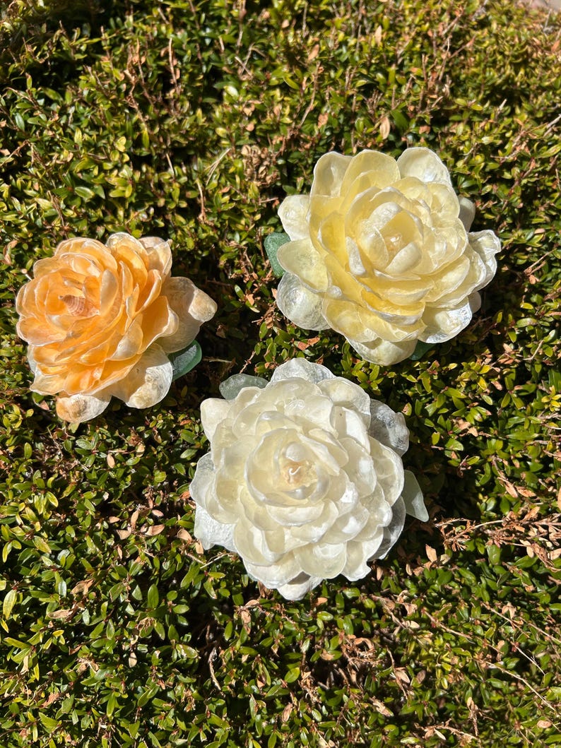Jingle Seashell Roses Handmade With White, Yellow, Orange and ...