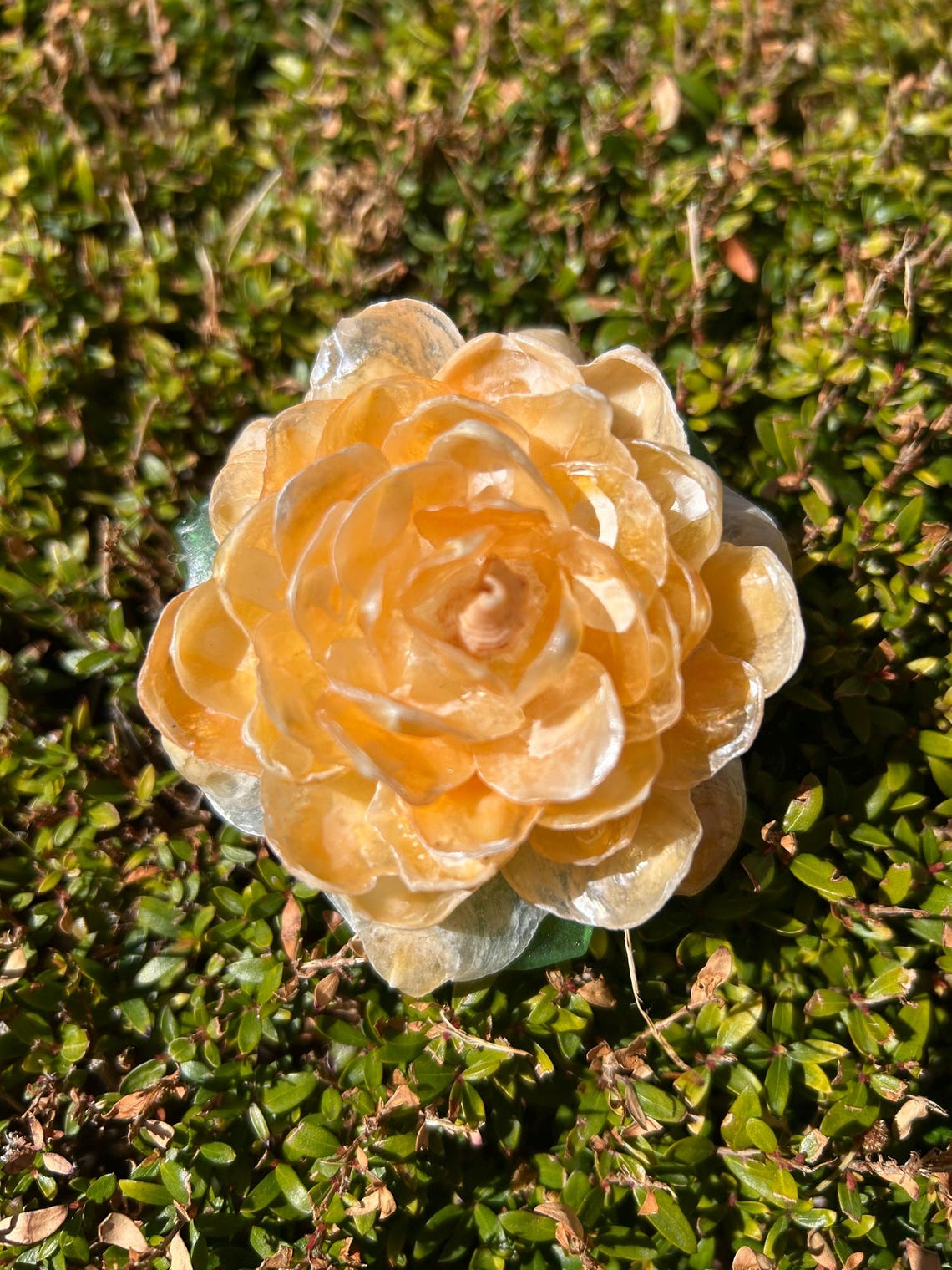 Jingle Seashell Roses Handmade With White, Yellow, Orange and ...