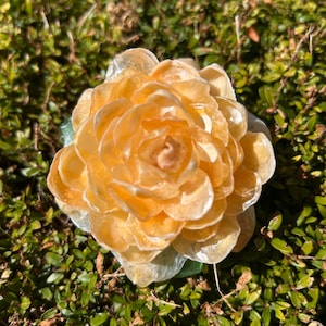 Jingle Seashell Roses Handmade With White, Yellow, Orange and ...