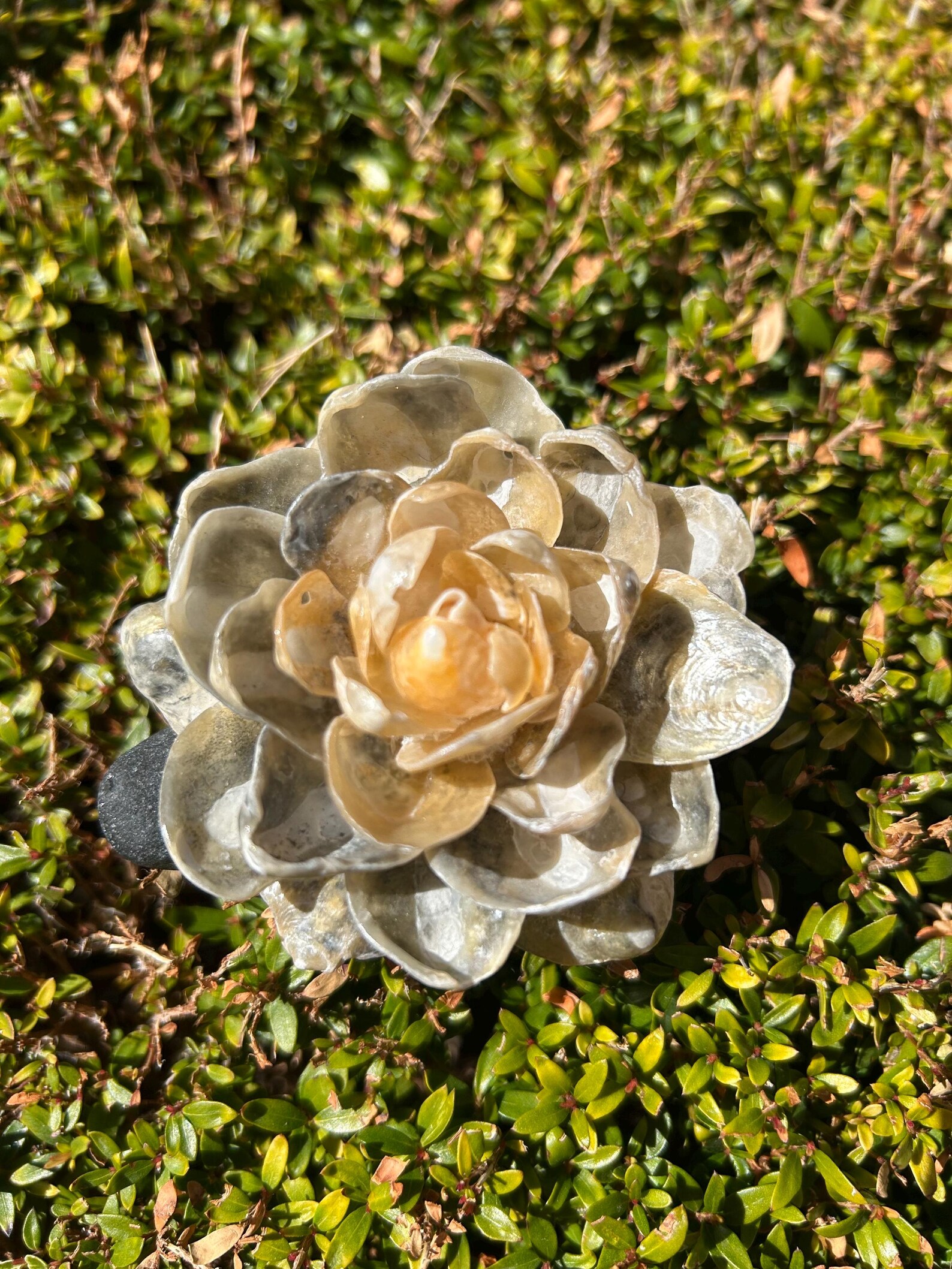 Jingle Seashell Roses Handmade With White, Yellow, Orange and ...