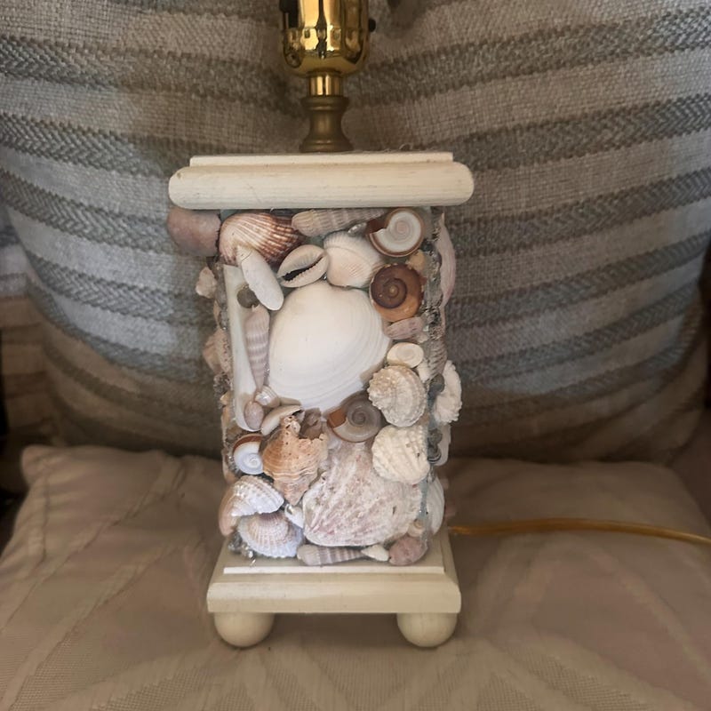 Seashell Lamps - Etsy