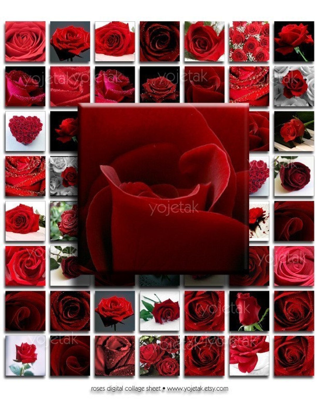 Roses Instant Download 1x1 Inch Square Tiles, Digital Collage Sheet PDF ...
