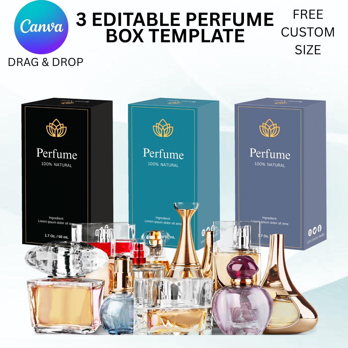 3 Editable Perfume Box Template for Canva, Custom Business Branding Box ...