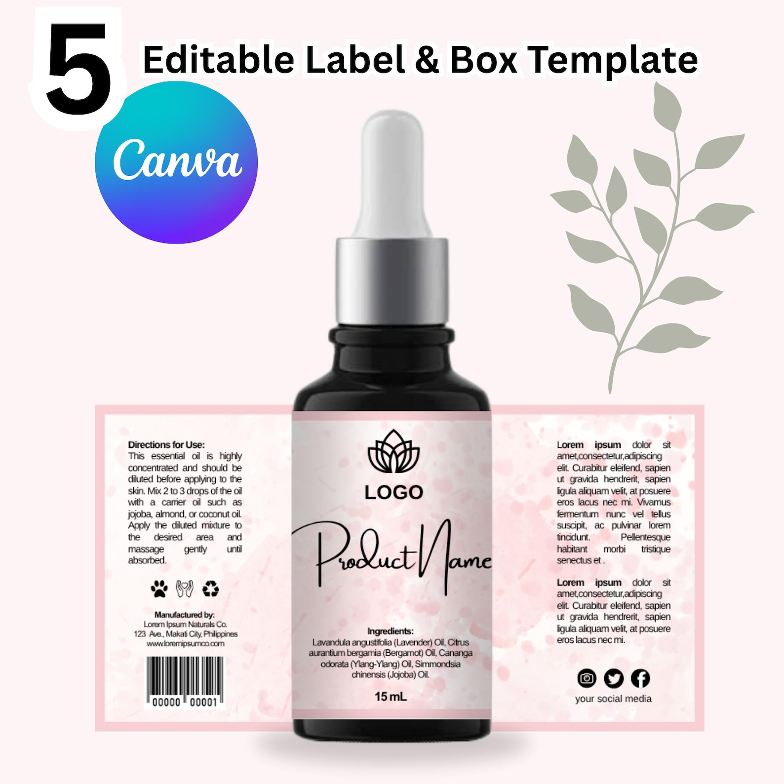 Editable Cosmetic Label & Box Template Bundle for Canva, Custom ...