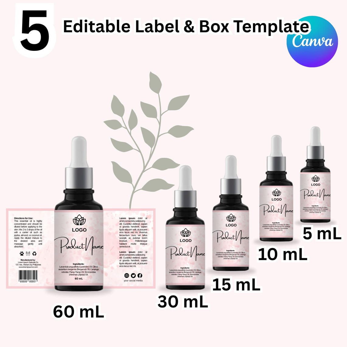 Editable Cosmetic Label & Box Template Bundle for Canva, Custom ...