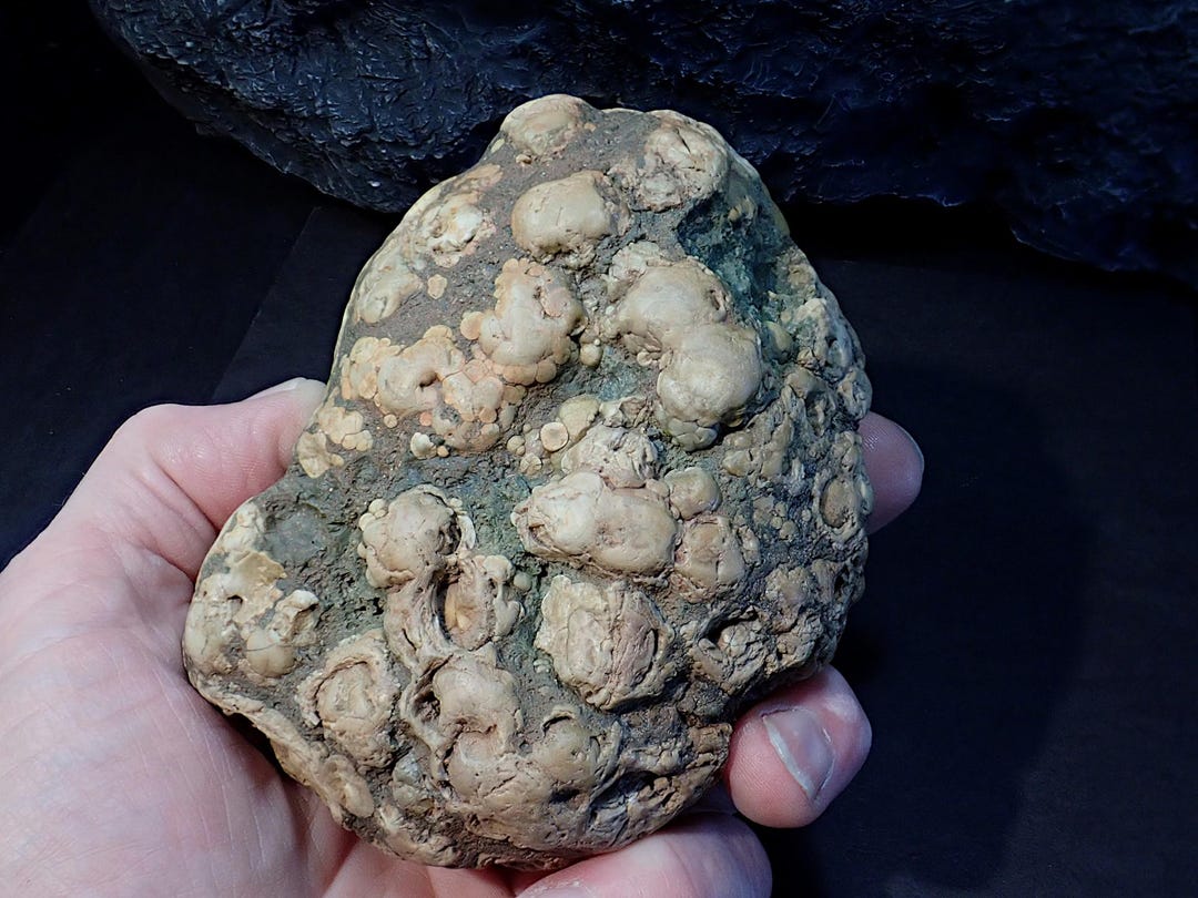 30854 Orbicular Rhyolite Specimen Rough 90 X 90 X 80 Mm 904 Grams ...