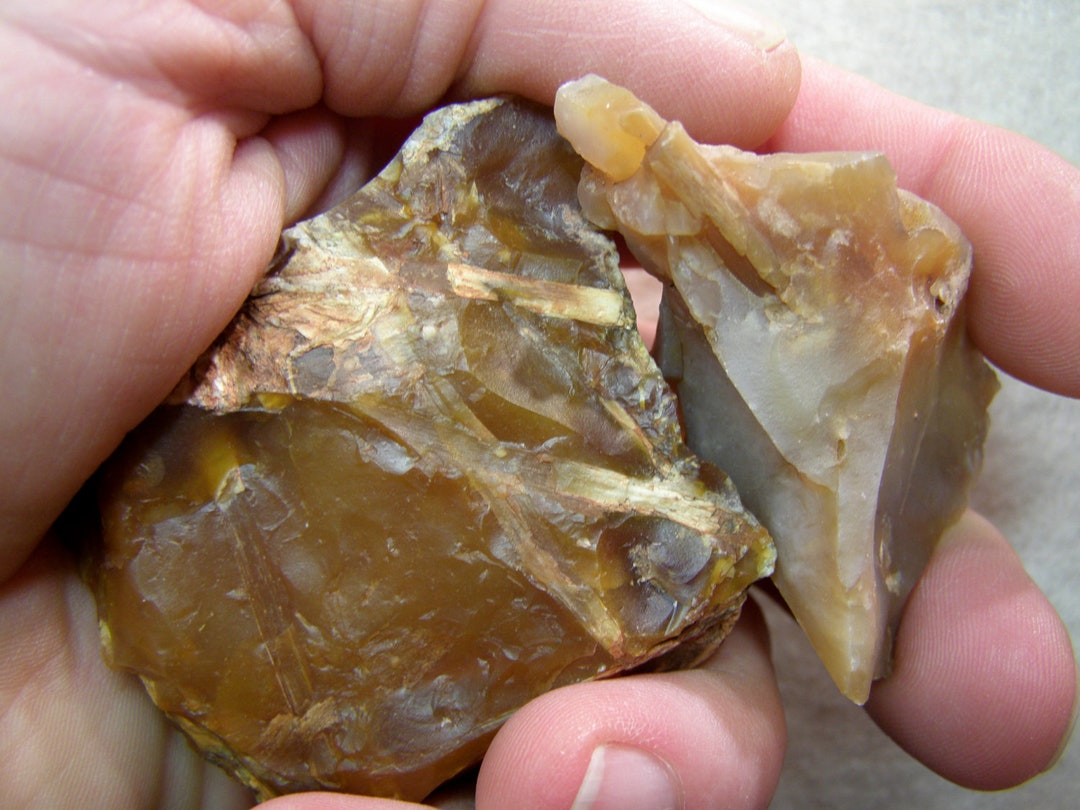 9170 Petrified Wood Fossil Wood in Bog Agate Specimens Lot of 2 Pieces ...