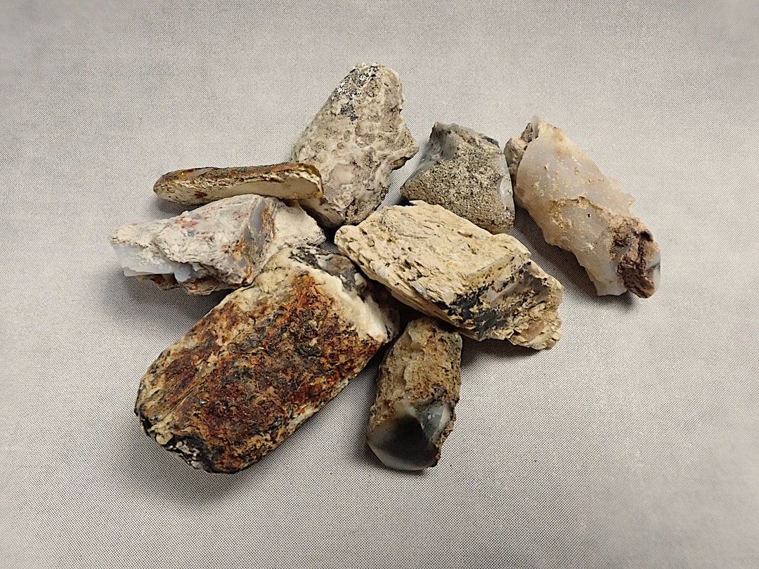 30456 Wood Opal 8 Piece Lot of Small Wood Opal Display Specimens 1 Oz ...