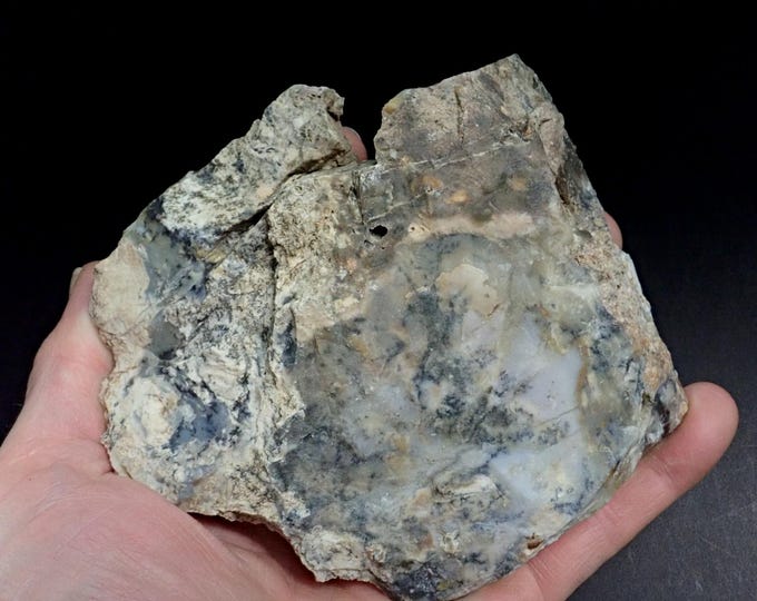 30791 Dendritic Agate Specimen Rough Dendritic Agate From the Amethyst ...