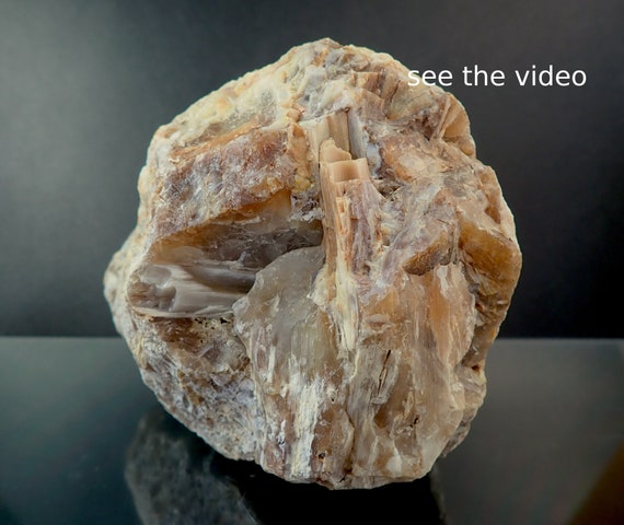 10746 Petrified Wood in Bog Agate Cabinet Specimen 1.18 kg | Etsy