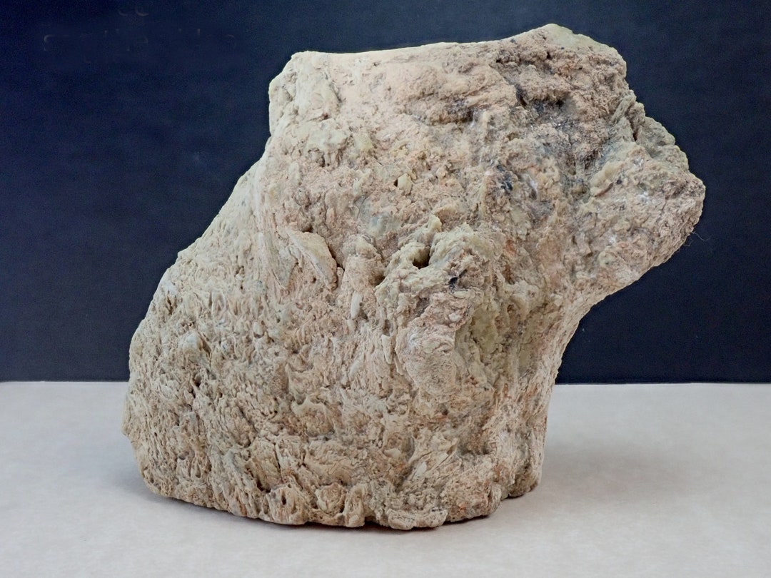 30274 Opal Limb Cast Common Opal Limb Cast Display Specimen 70 X 60 X ...